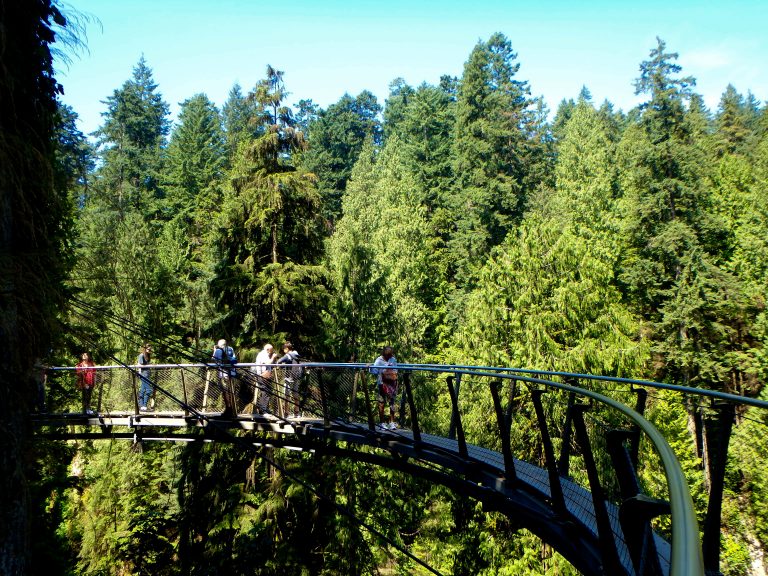 A Visit to Capilano Suspension Bridge Park: Vancouver’s Most Popular ...